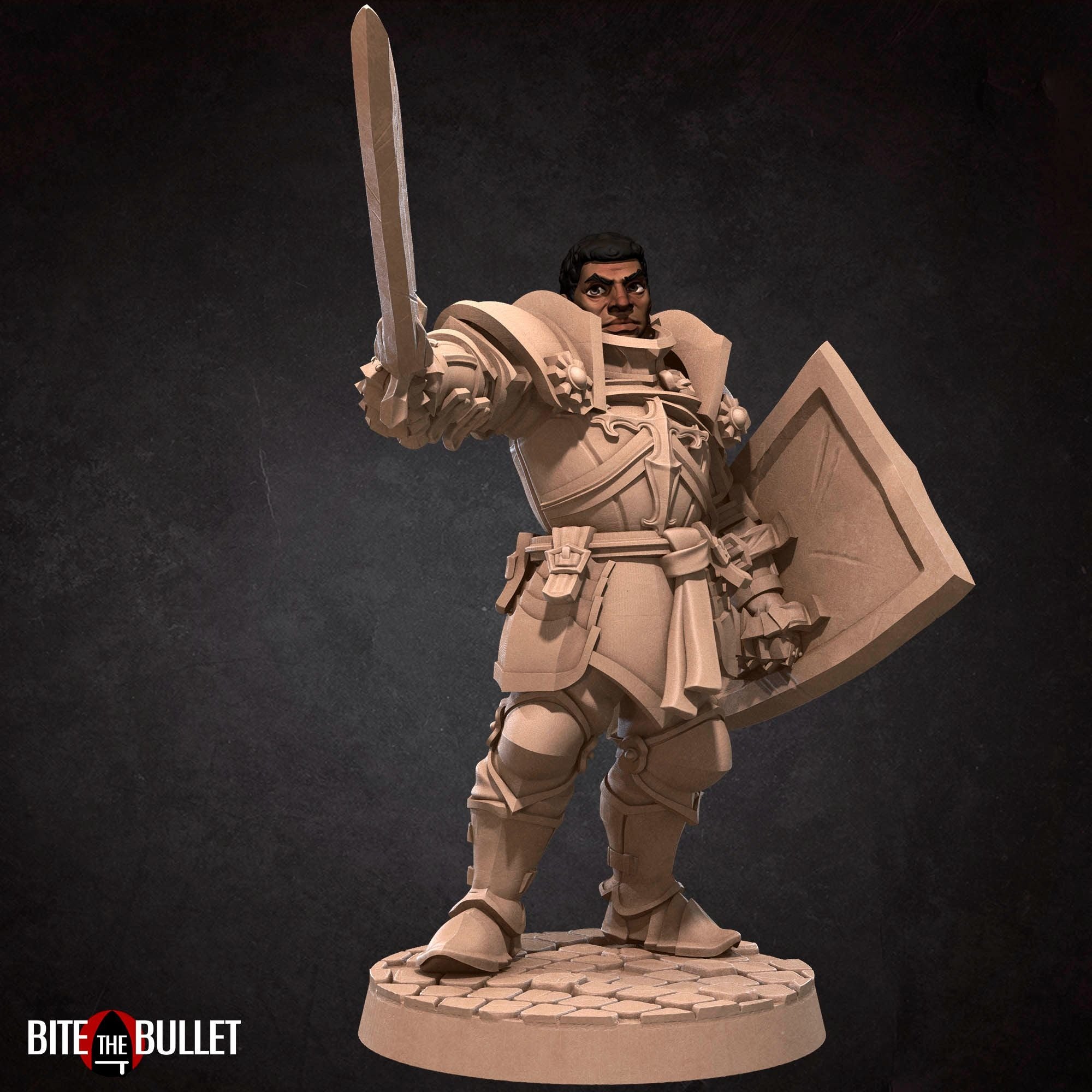 Hero Paladin - Bullet Hell Heroes - 3d Printed Miniature by Bite the B ...